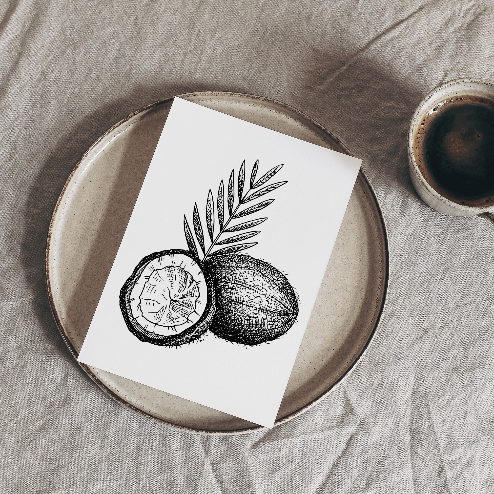 Coconut - Hand Drawn Vector Illustrations - Png, Svg, Ai, Eps ...