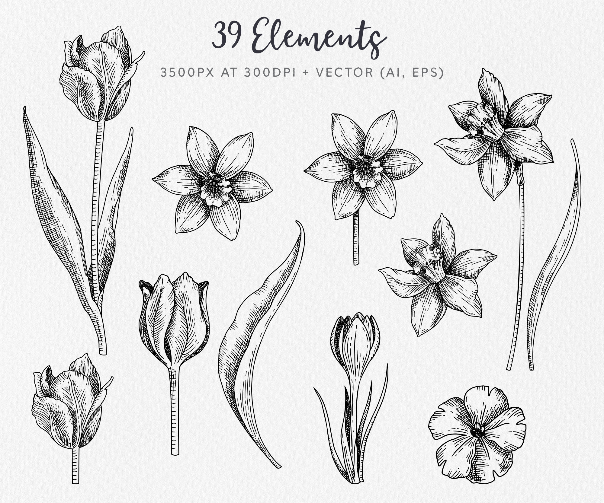 Spring Flowers Clipart: Spring Flowers Vector / Magnolia, Hyacinth ...