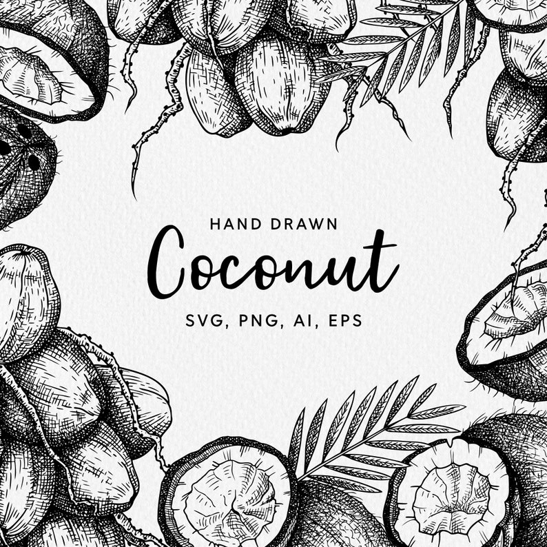 Coconut - Hand Drawn Vector Illustrations - Png, Svg, Ai, Eps ...
