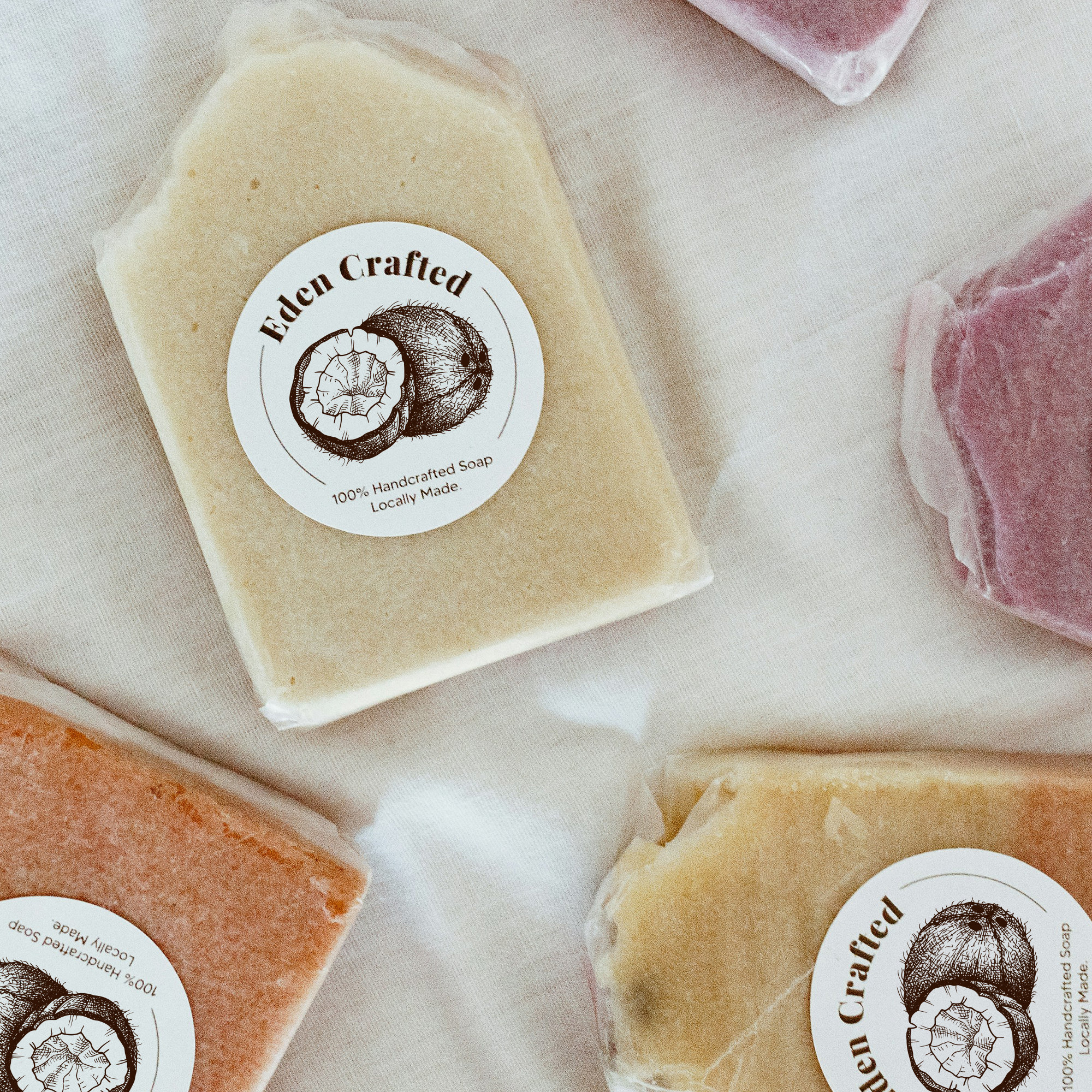 Coconut Hand Drawn Vector Illustrations Png, Svg, Ai, Eps. Compatible ...