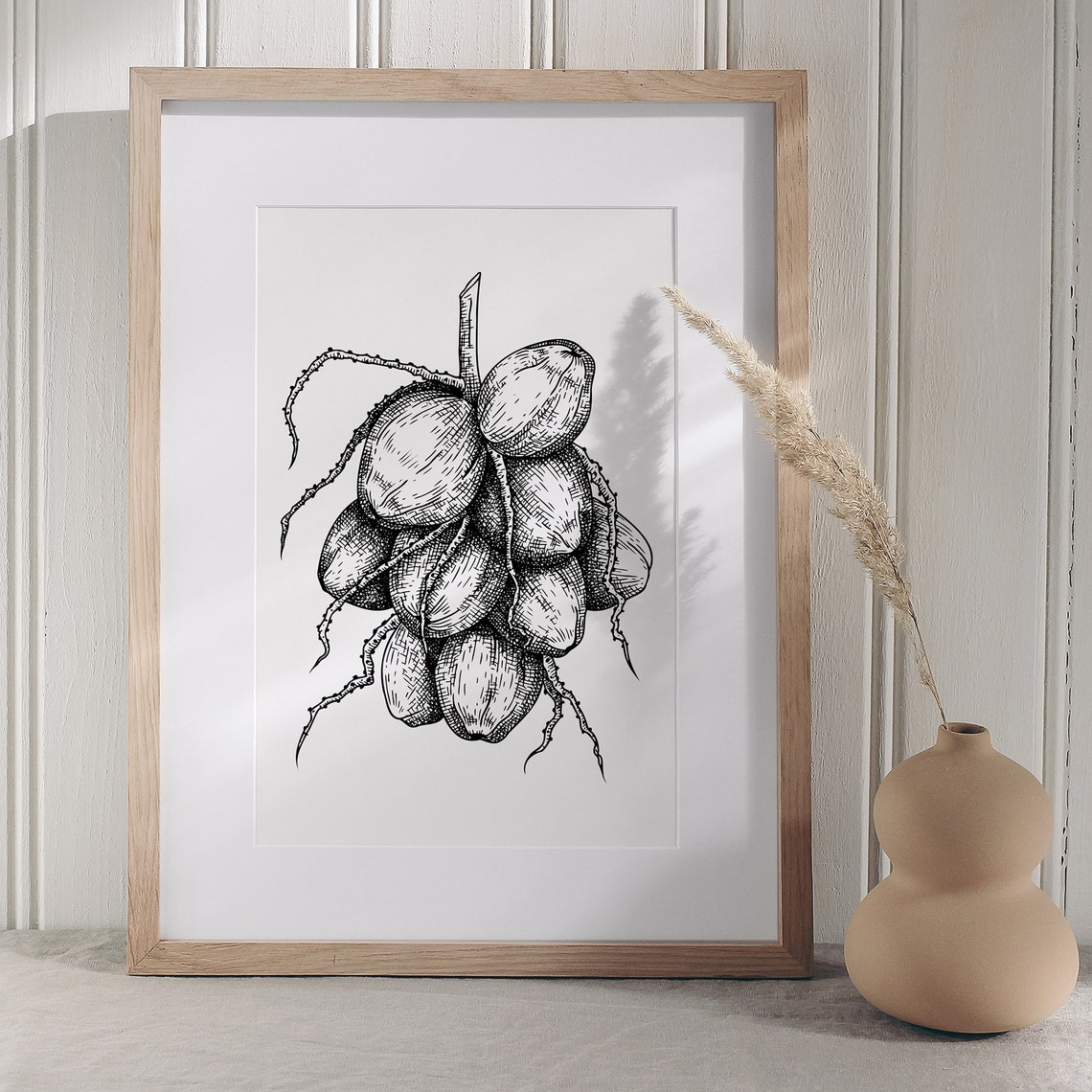 Coconut - Hand Drawn Vector Illustrations - Png, Svg, Ai, Eps ...