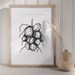 Coconut - Hand Drawn Vector Illustrations - Png, Svg, Ai, Eps ...