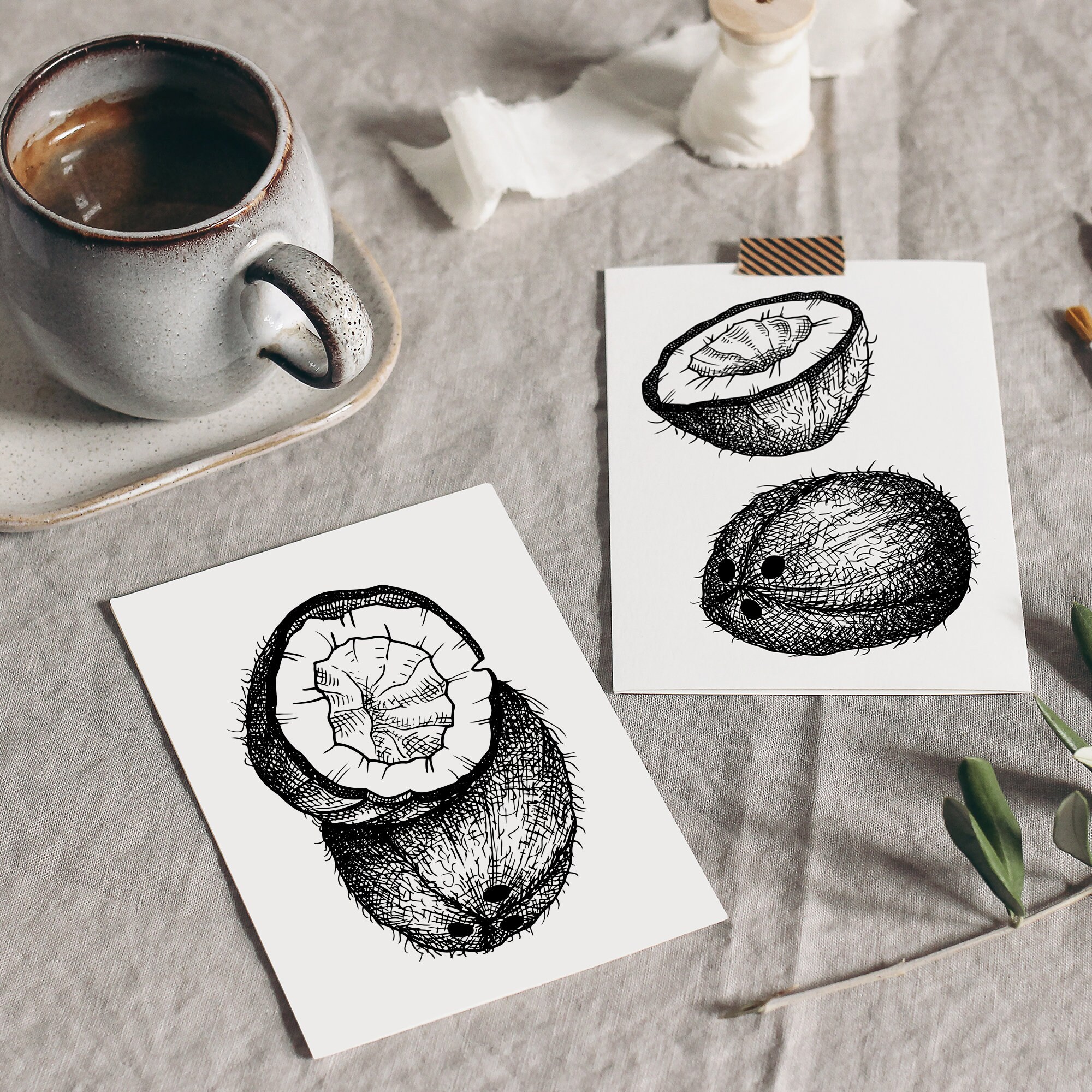 Coconut - Hand Drawn Vector Illustrations - Png, Svg, Ai, Eps ...