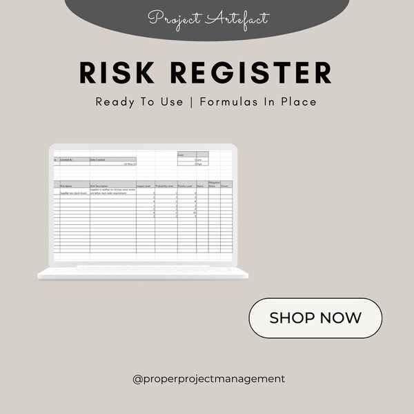 Excel Template Risk Management - Etsy