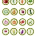 SORTING* Fruits and Vegetables Sorter for Toddlers, Sorting Game for ...