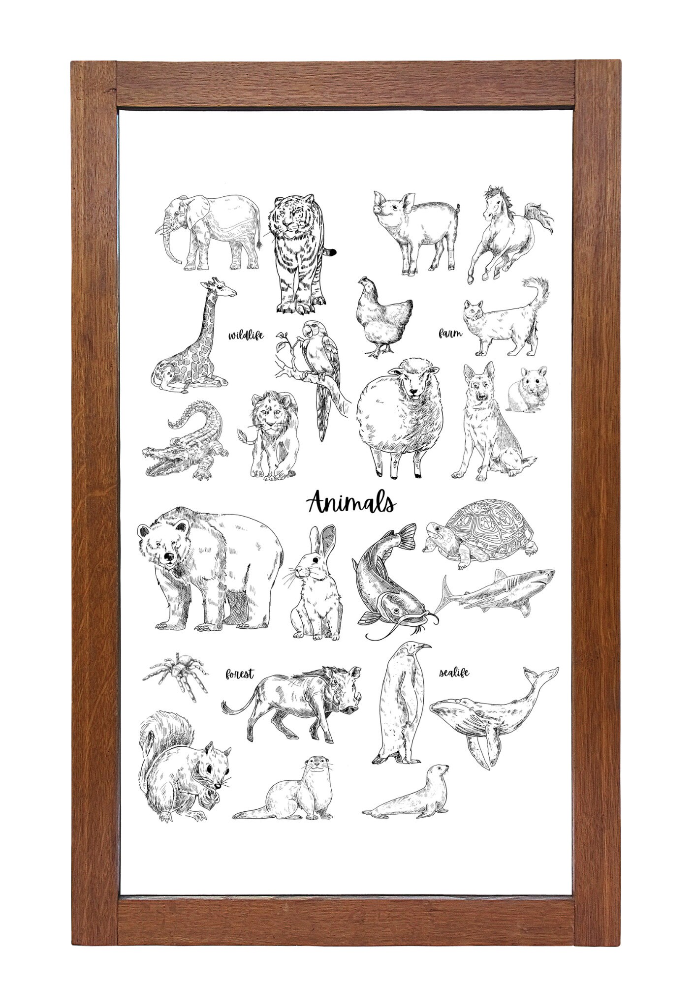Printable Animals Poster for Kids, Wildlife Animals, Sea Life, Farm ...