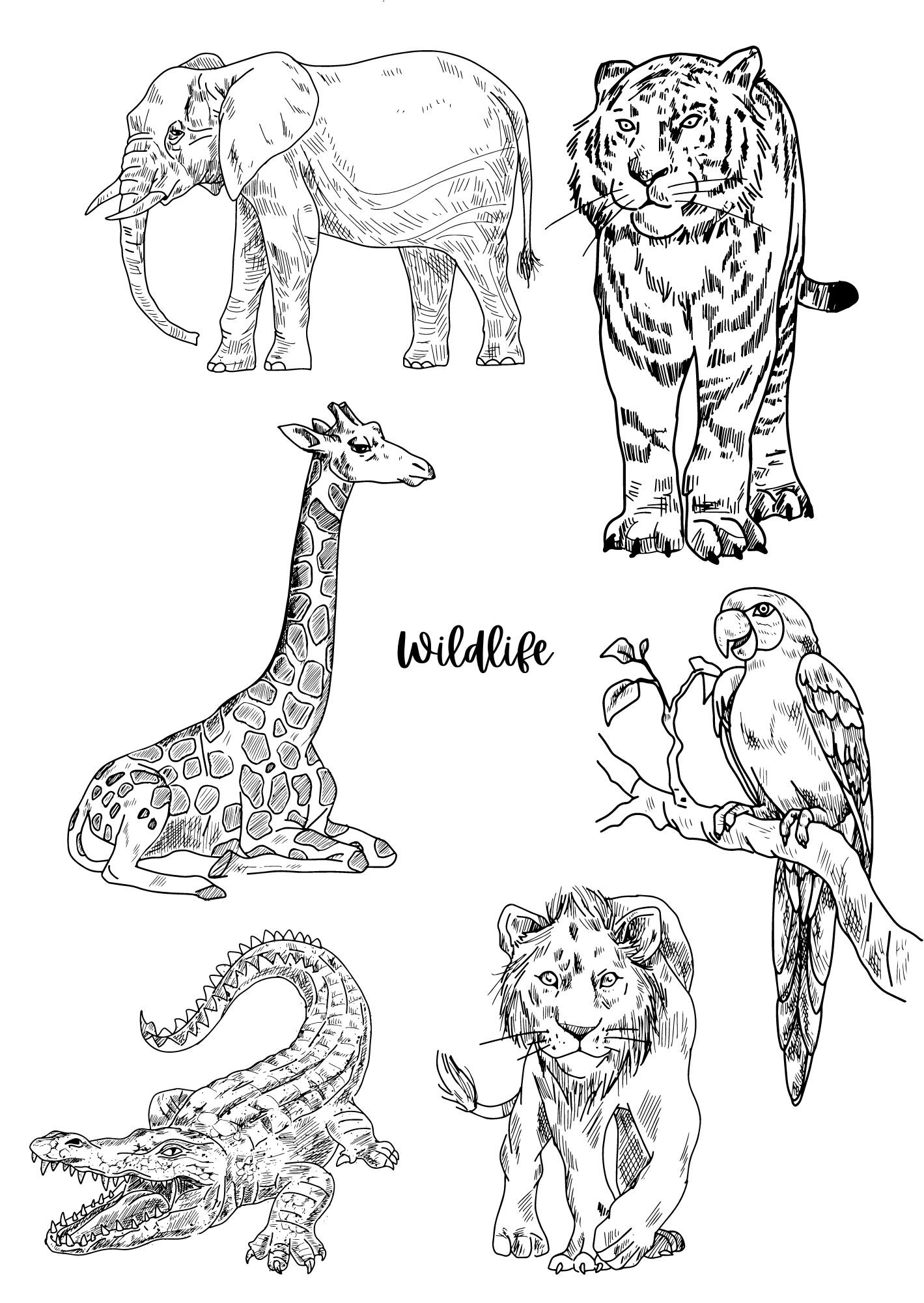 Printable Animals Poster for Kids, Wildlife Animals, Sea Life, Farm ...