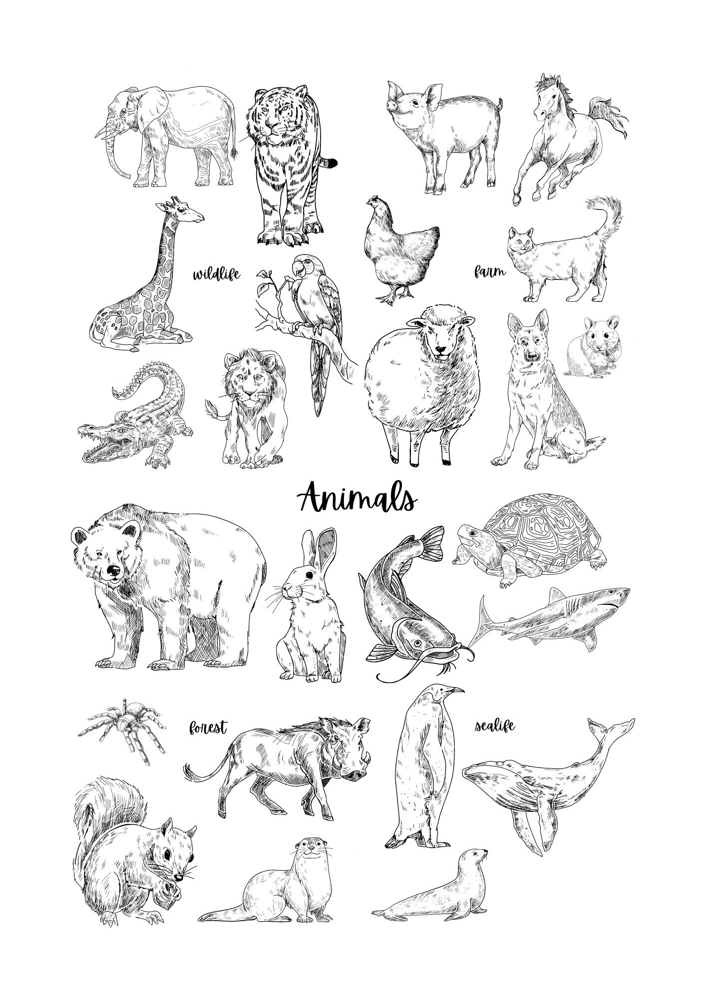 Printable Animals Poster for Kids, Wildlife Animals, Sea Life, Farm ...