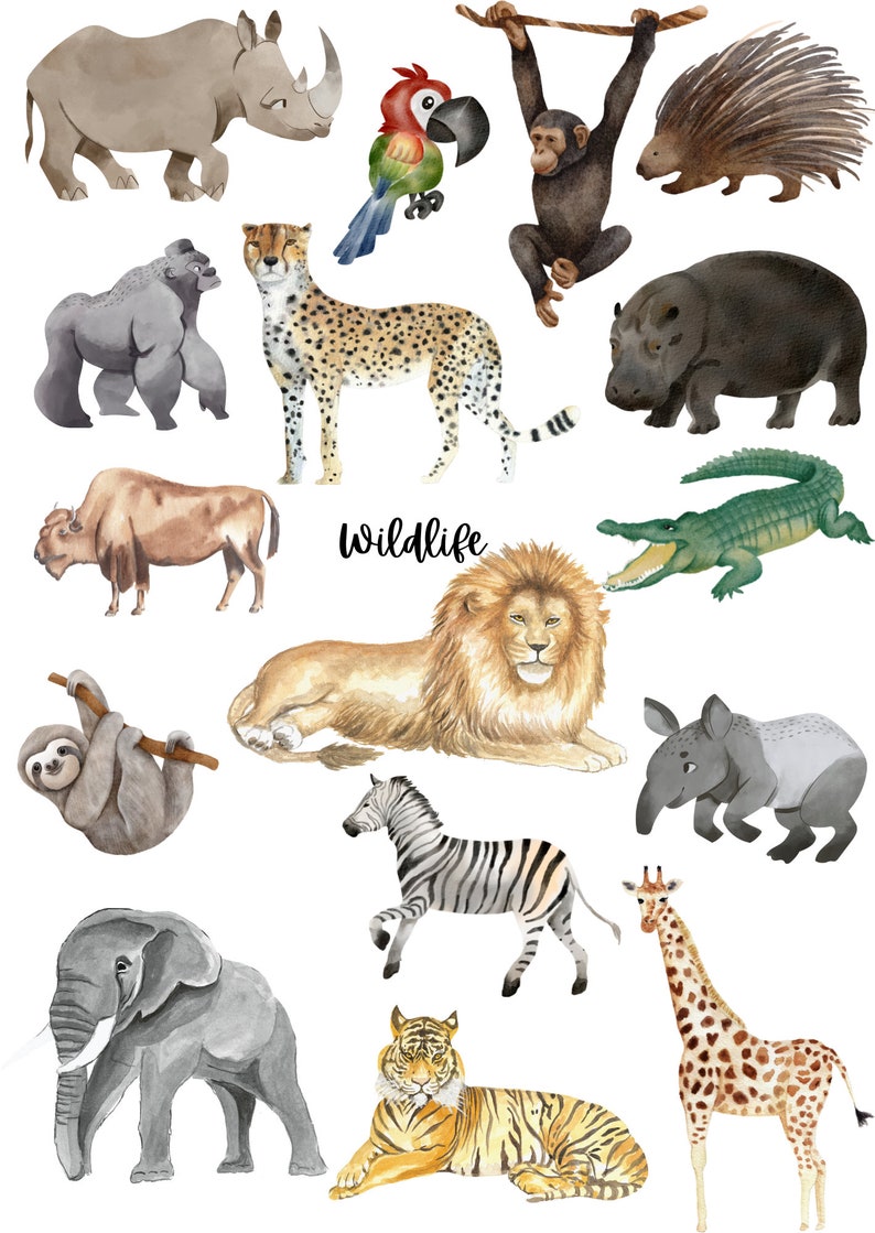 Jungle Animals Poster for Kids Room Decor, Animals Poster for Nursery ...