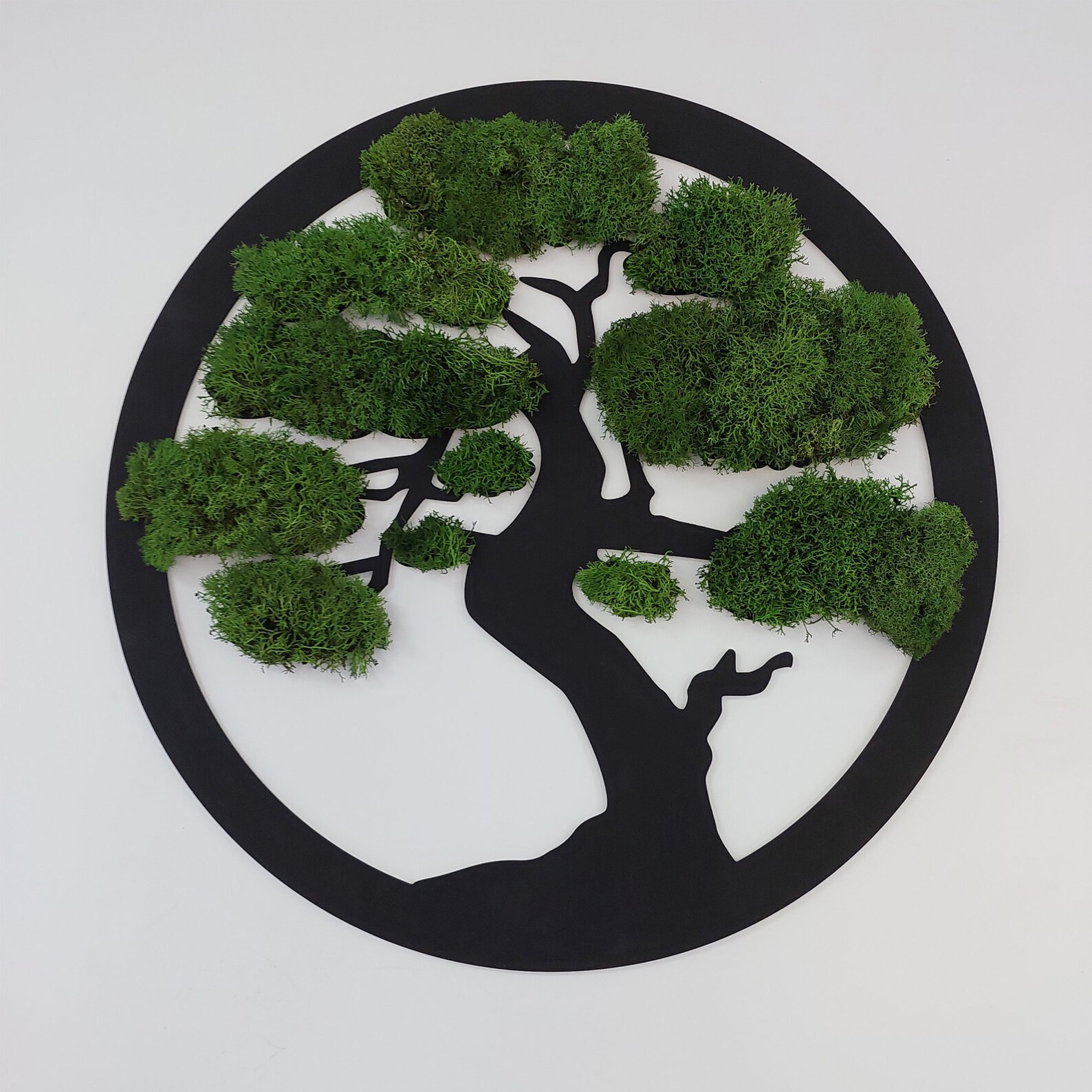 Preserved Moss Bonsai Tree Home Wall Decor Art - Etsy