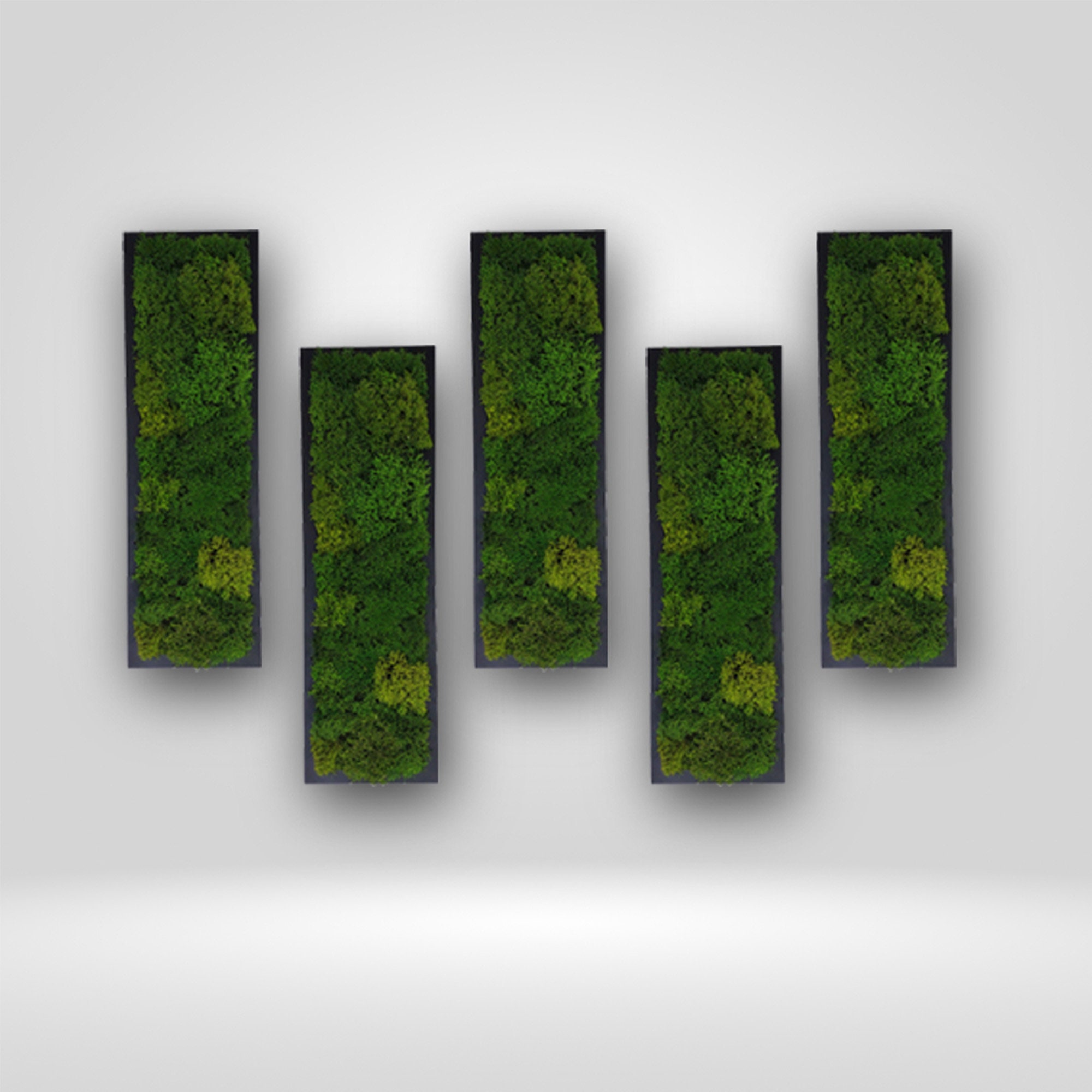 Moss Preserved Wall Art Framed Set Decor - Etsy