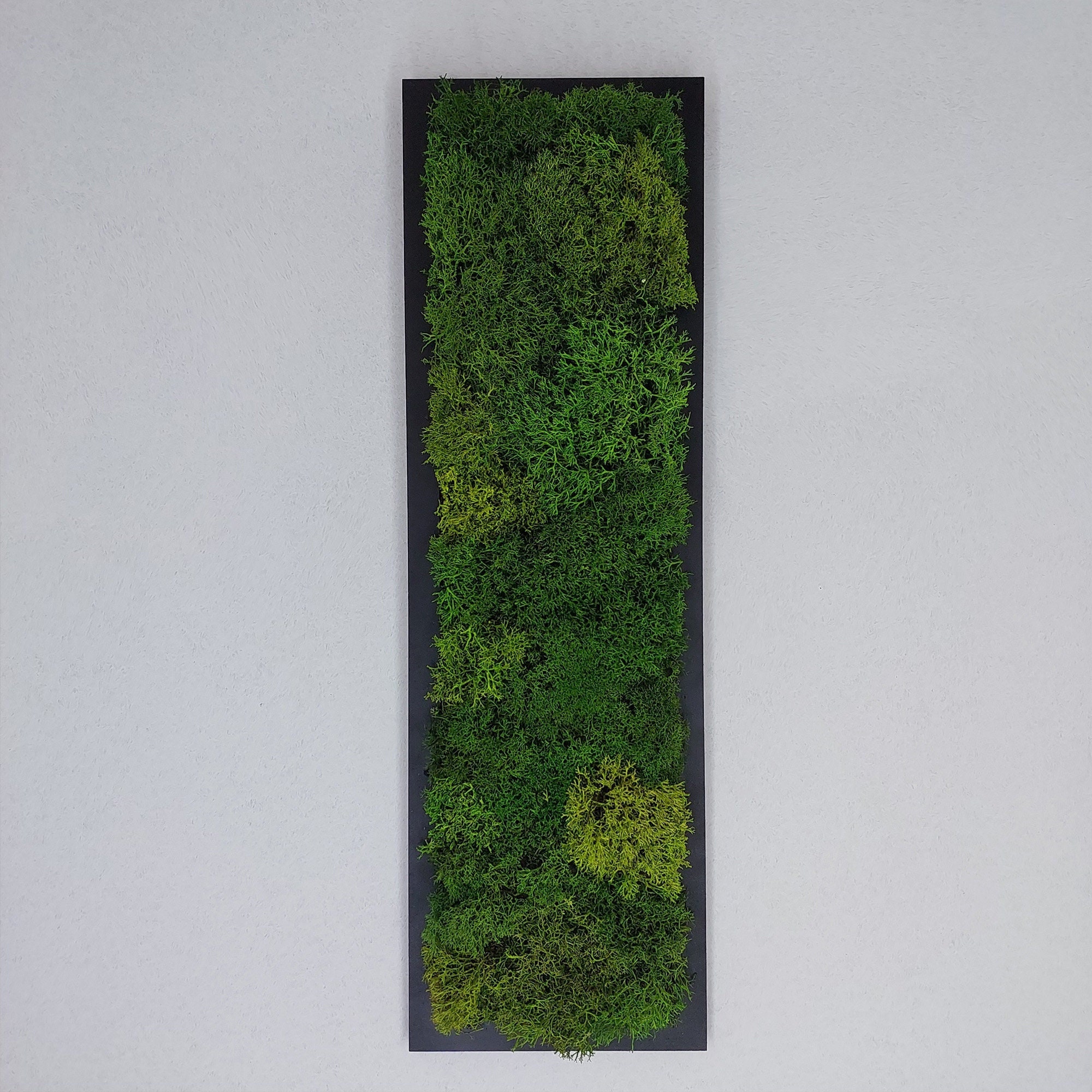Moss Preserved Wall Art Framed Set Decor - Etsy