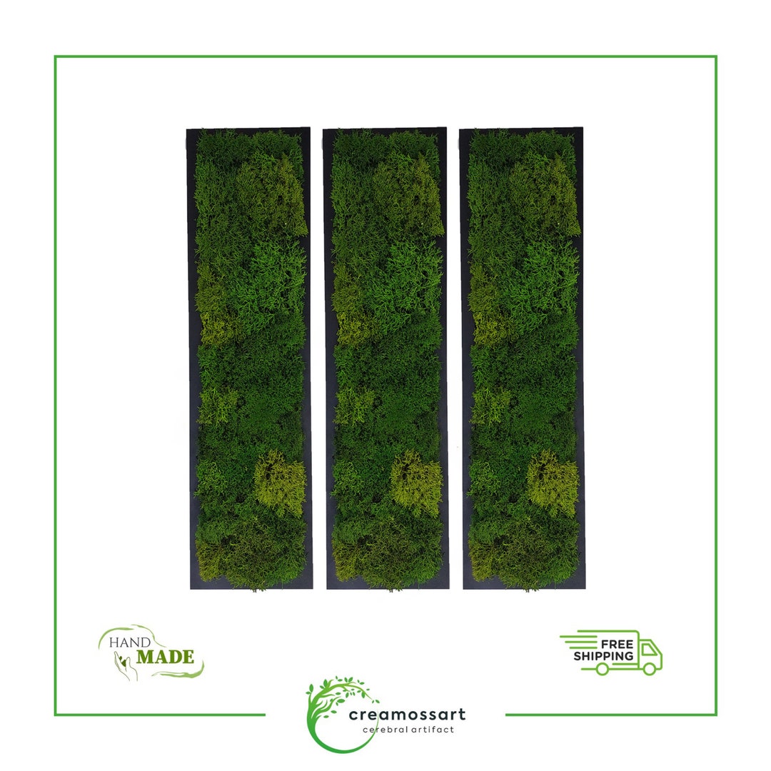 Moss Preserved Wall Art Framed Set Decor - Etsy