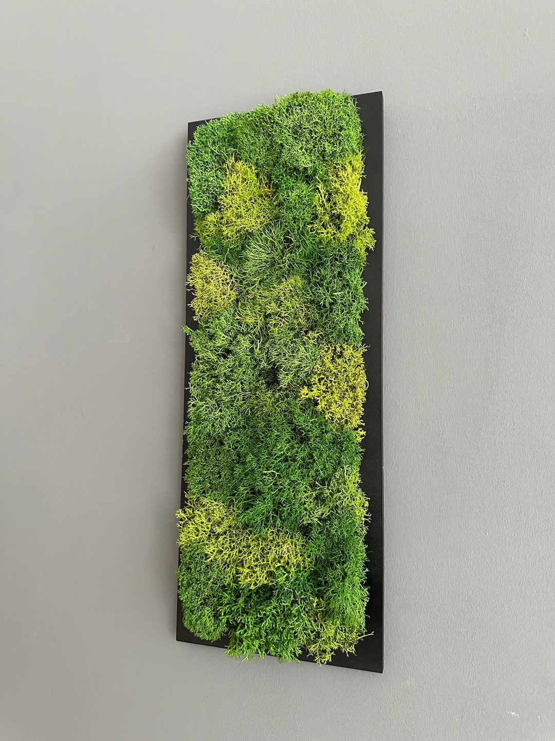 Moss Preserved Wall Art Framed Set Decor - Etsy