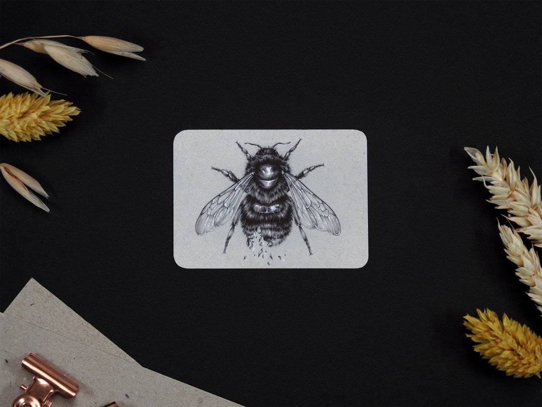 Bumblebee Sticker Vinyl Decal Matte Insect Drawing - Etsy