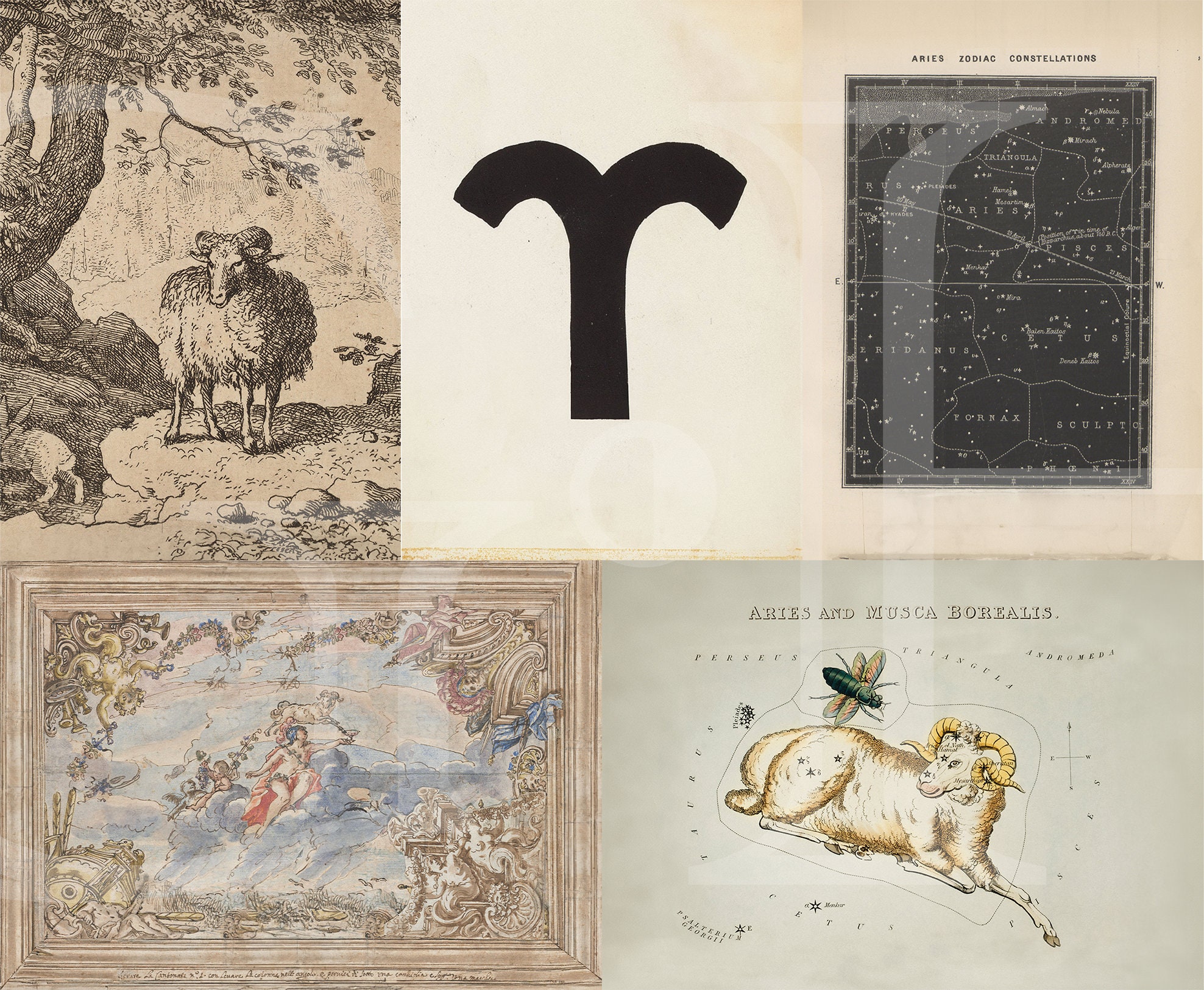 Vintage Aries Gallery Wall Prints Antique Zodiac Art PRINTABLE Set of 5 ...