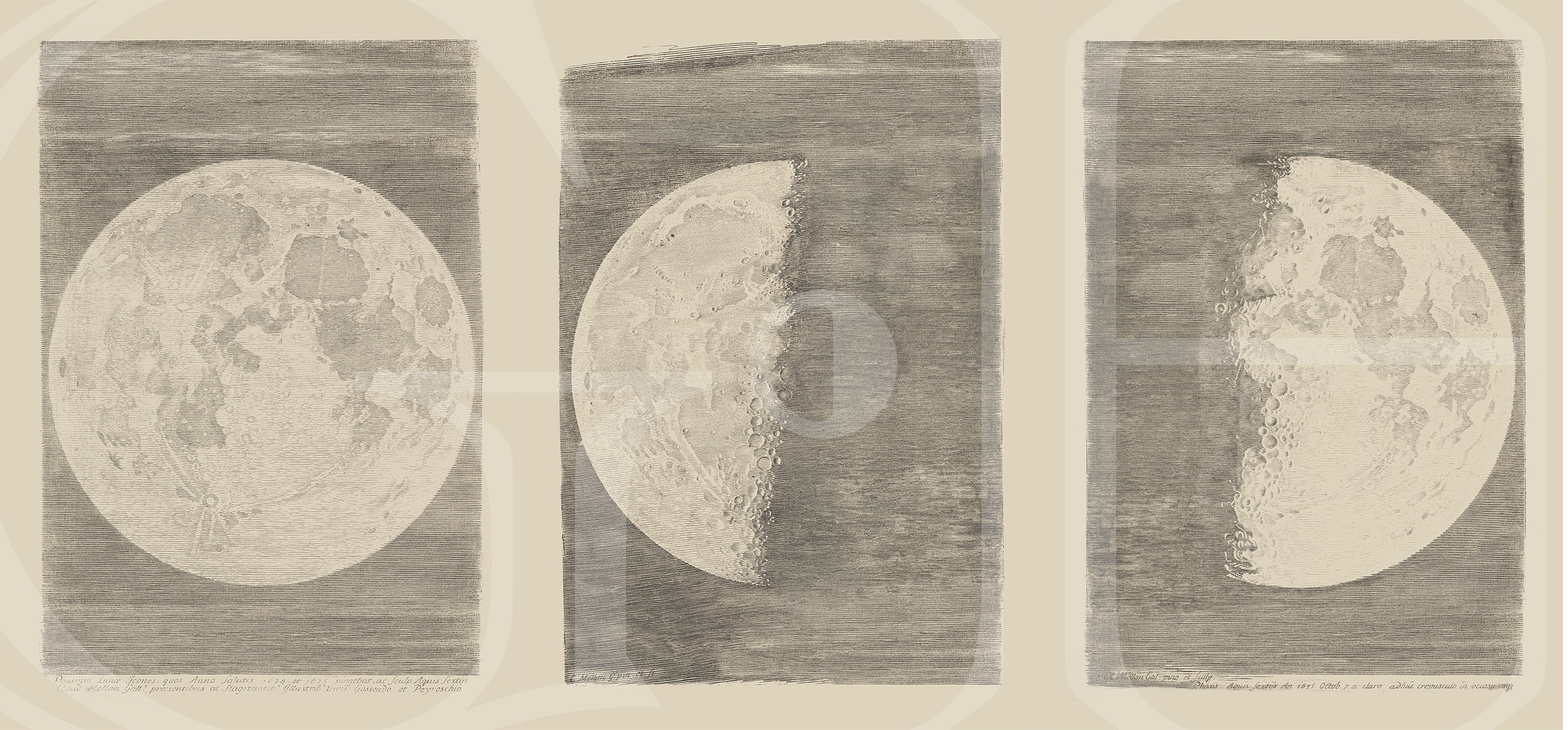 Moon Sketch SET of 3 Vintage Lunar Cycle Prints Moon Phases PRINTABLE ...