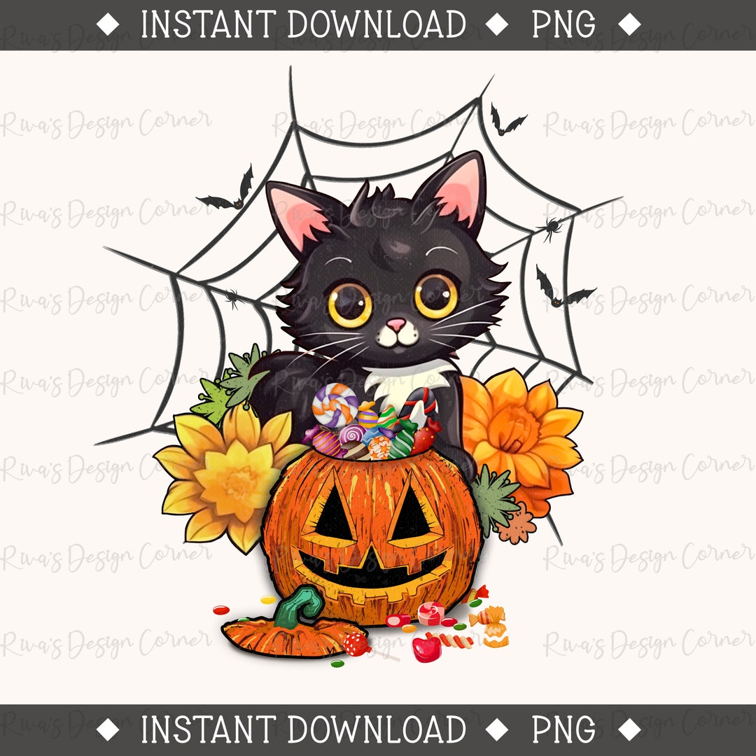 Baby Cat With Pumpkin Halloween Png File, Halloween Black Cat Pumpkin ...