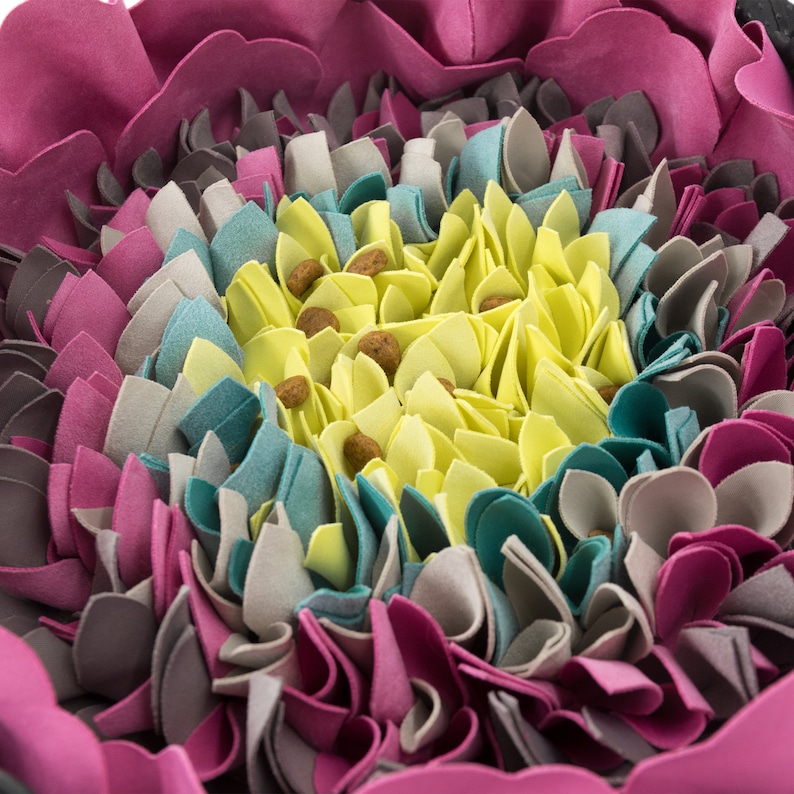 Snuffle Mat brain Game for Gogs and Cats Puzzle Feeder Mat - Etsy