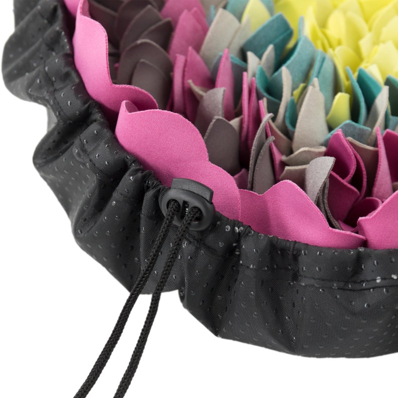 Snuffle Mat brain Game for Gogs and Cats Puzzle Feeder Mat - Etsy