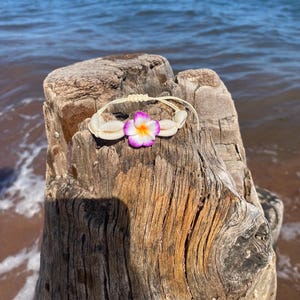 Hawaiian Shell Bracelet Available in Four Colours Handmade in Devon - Etsy