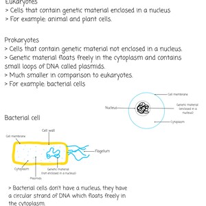GCSE Biology Cell Structure Topic 1 AQA - Etsy UK