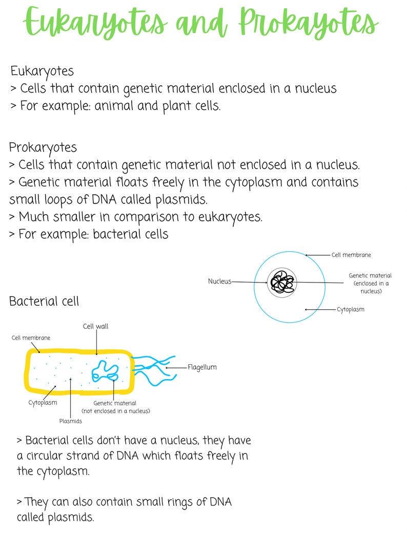 GCSE Biology Cell Structure Topic 1 AQA - Etsy UK