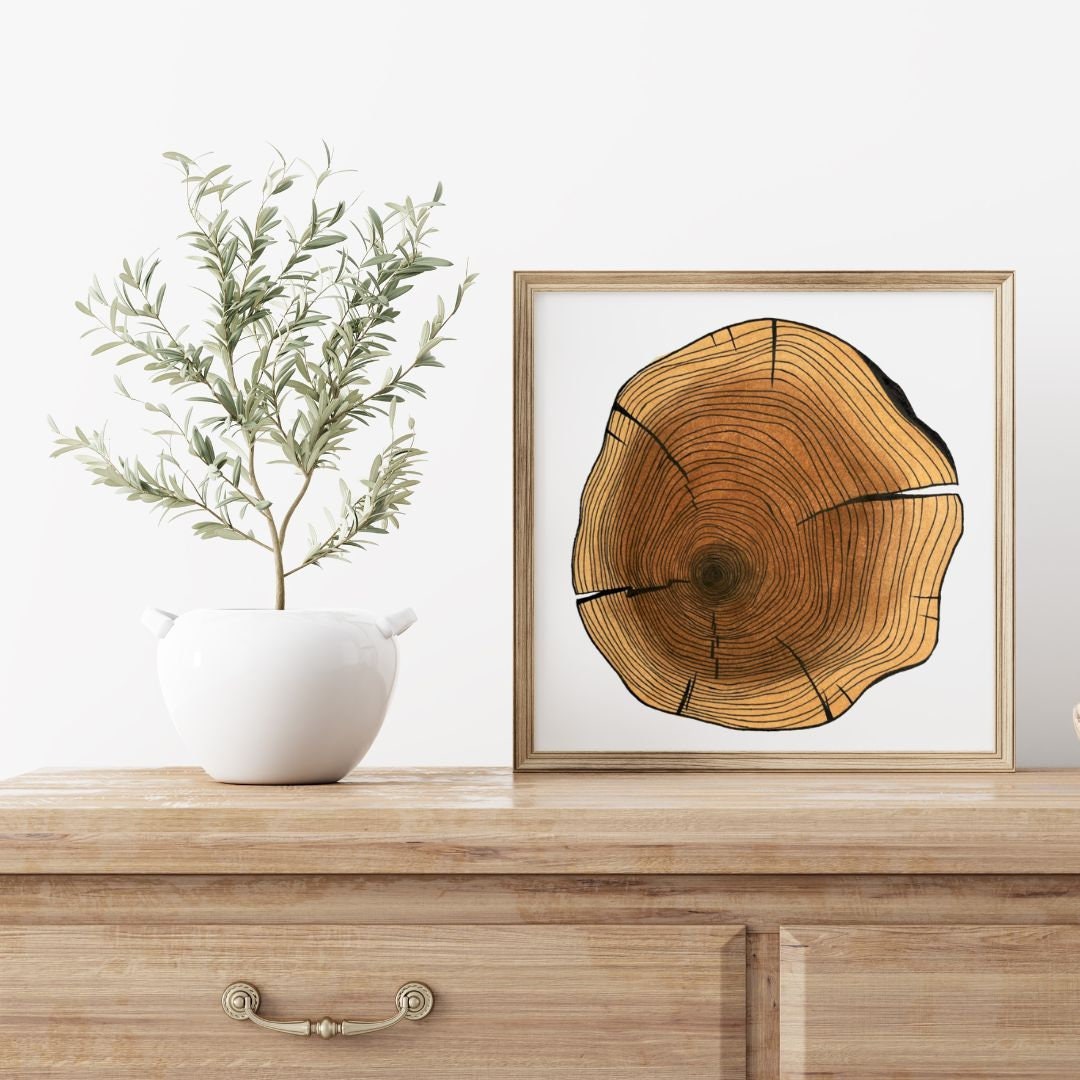 Cedar Crosscut Botanical Watercolor Art Print - Etsy