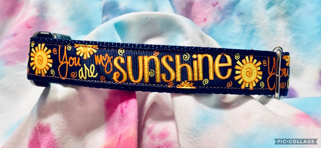 Collars That Ring in SUNSHINE, Dog,collar,pet,sun,yellow - Etsy