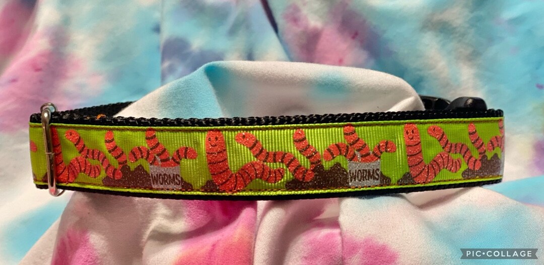 Early Bird Gets the WORMS, Dog,collar,pets,fishing - Etsy