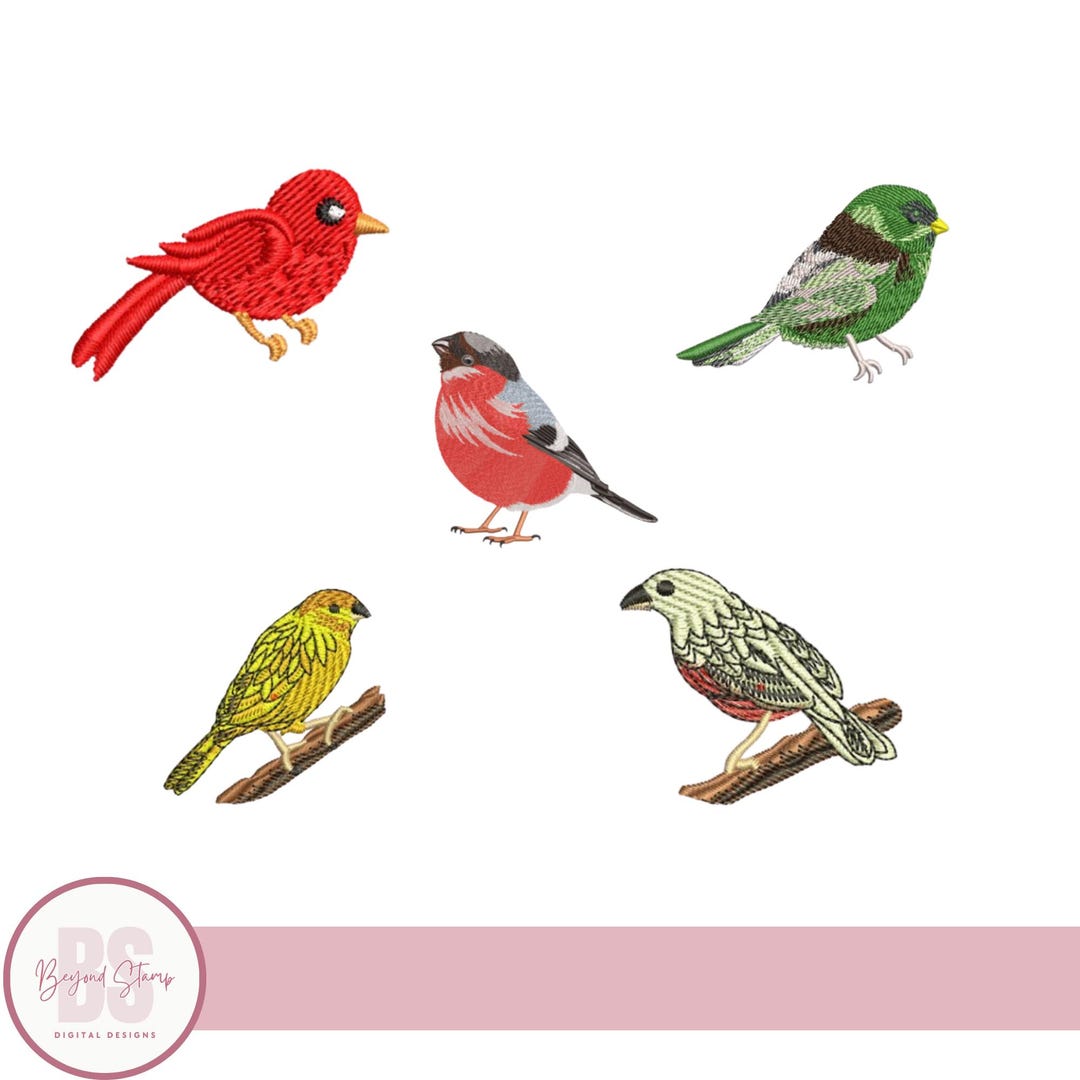 Birds Embroidery Designs Bundle , Natures Embroidery , Colorful Little ...