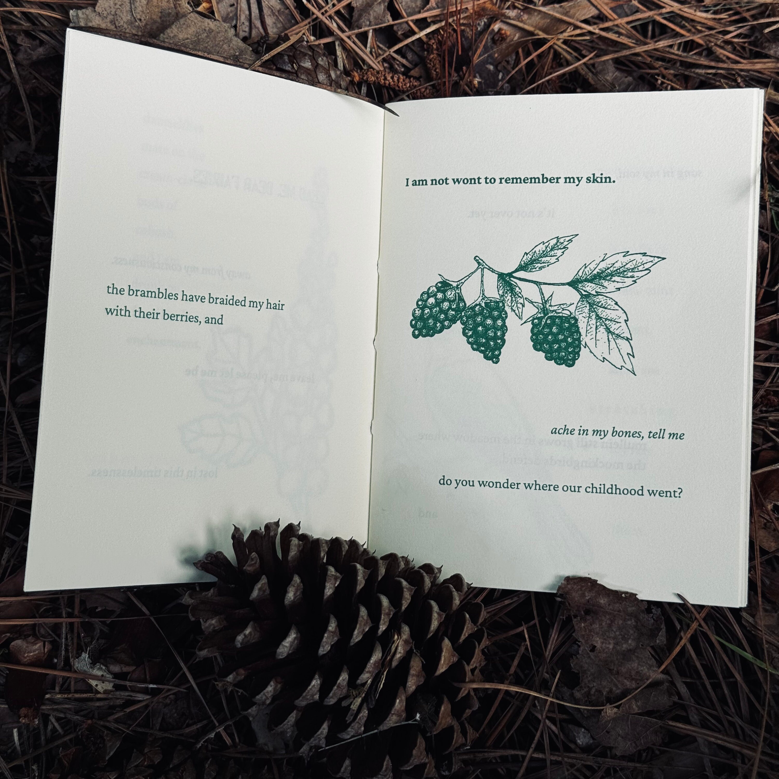 The Greenpath Series — Nature Mystic Poetry, Micro-chapbook Series - Etsy