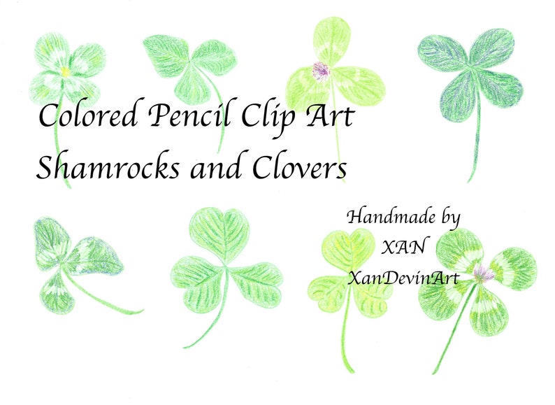 Colored Pencil Clip Art Shamrocks and Clovers PNG Files - Etsy