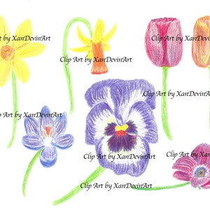 Colored Pencil Clip Art Spring Flowers PNG Files - Etsy