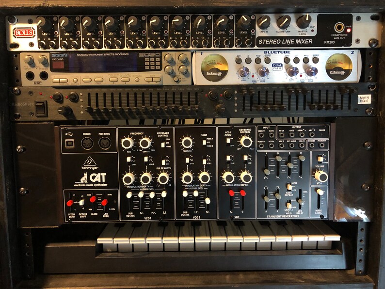 Behringer 3U Rack Ears cat, Wasp, and Model D - Etsy
