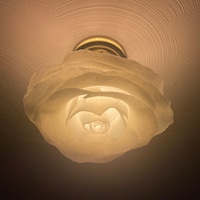 Ceiling Light - Etsy