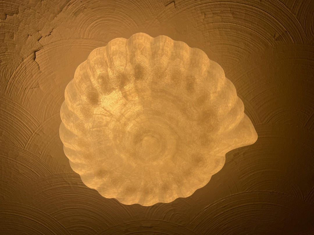 Nautilus Seashell Ceiling Lamp Cover - Etsy