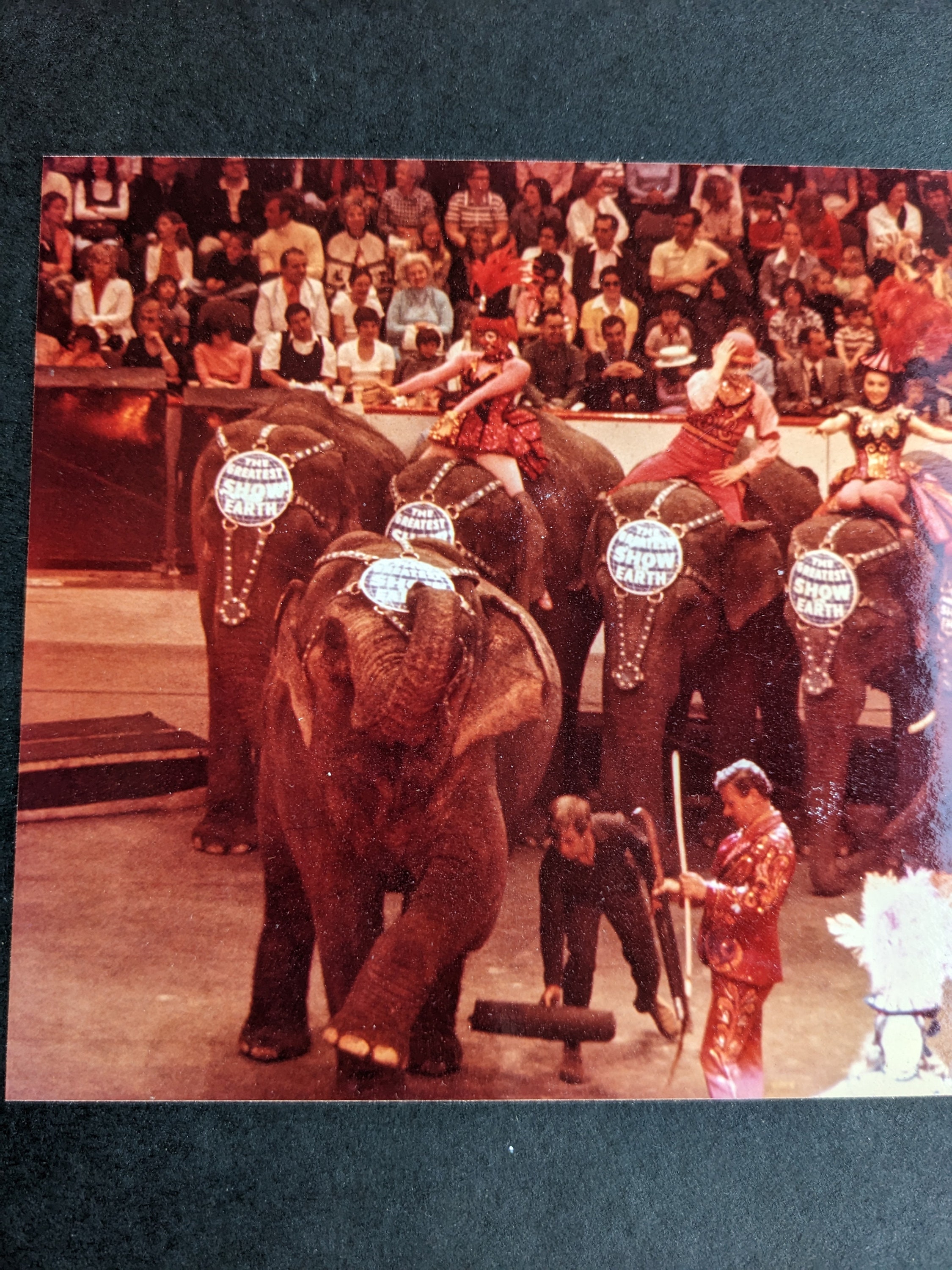 Ringling Bros Barnum Bailey Circus Original Performance 4 Photograph ...