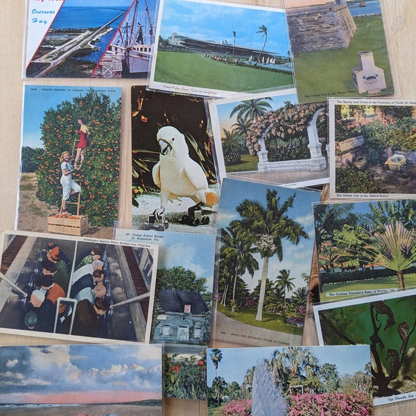 Florida Postcard - Etsy