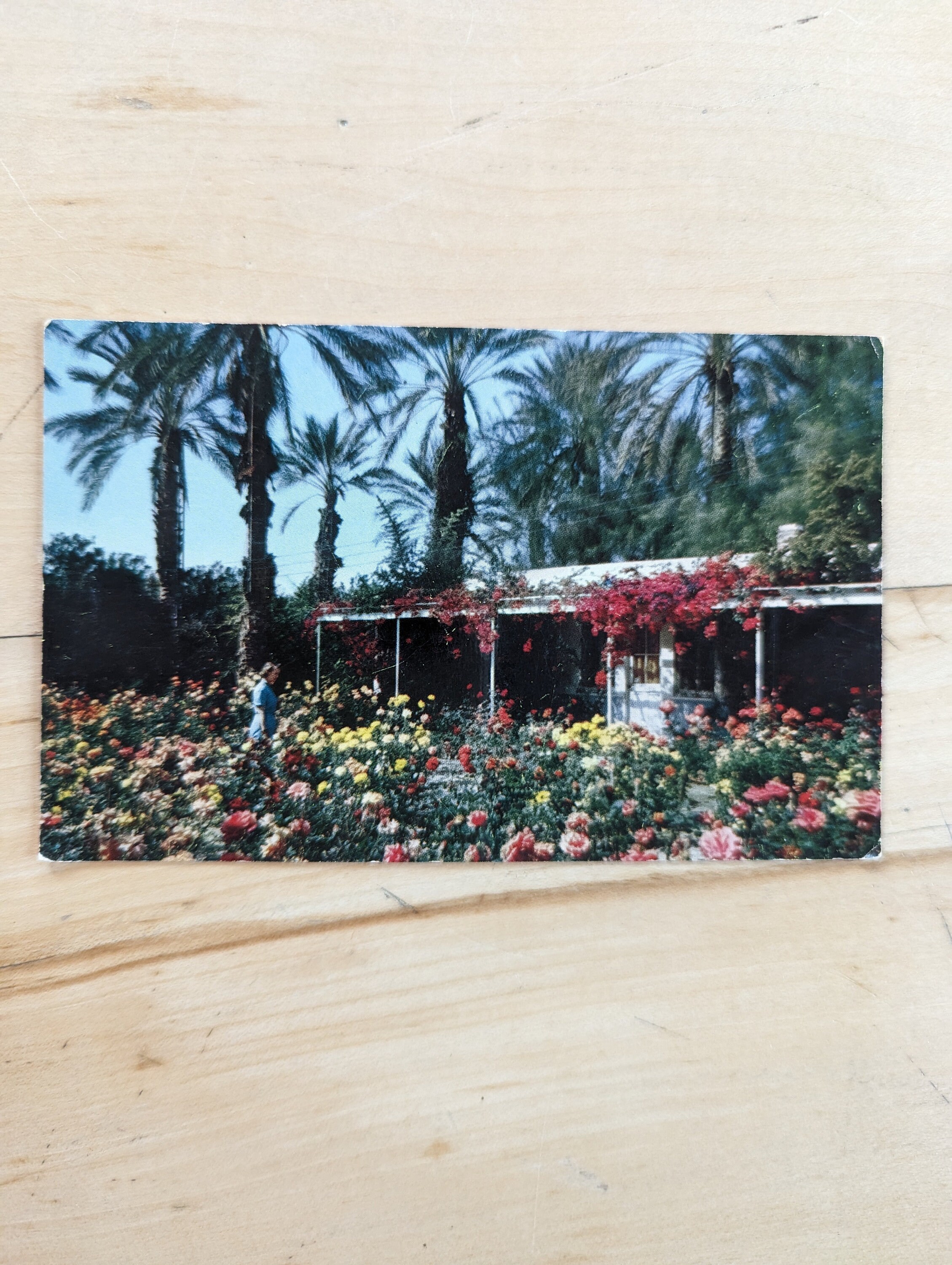Vintage Postcards California Original Unused Antique Post Cards, San ...