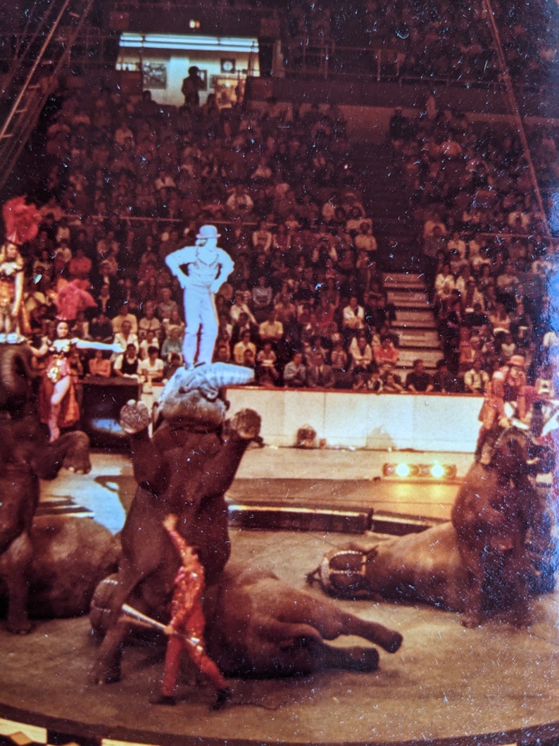 Ringling Bros Barnum Bailey Circus Original Performance 4 Photograph ...