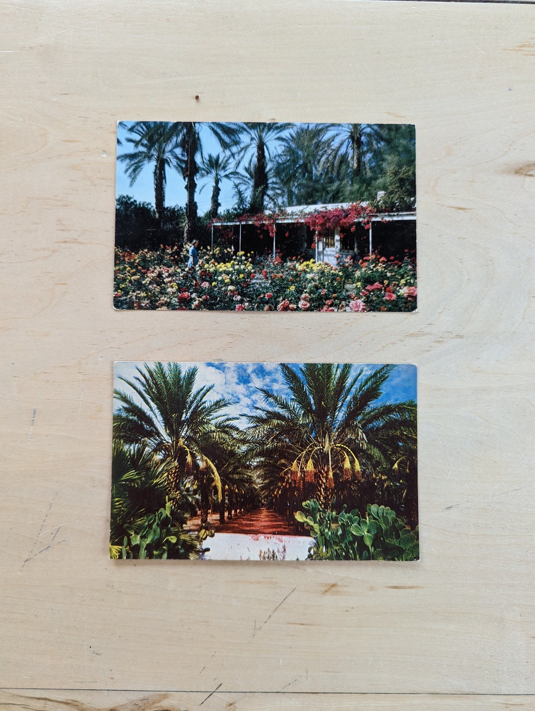Vintage Original Postcards From California, Coachella Valley Post Card ...