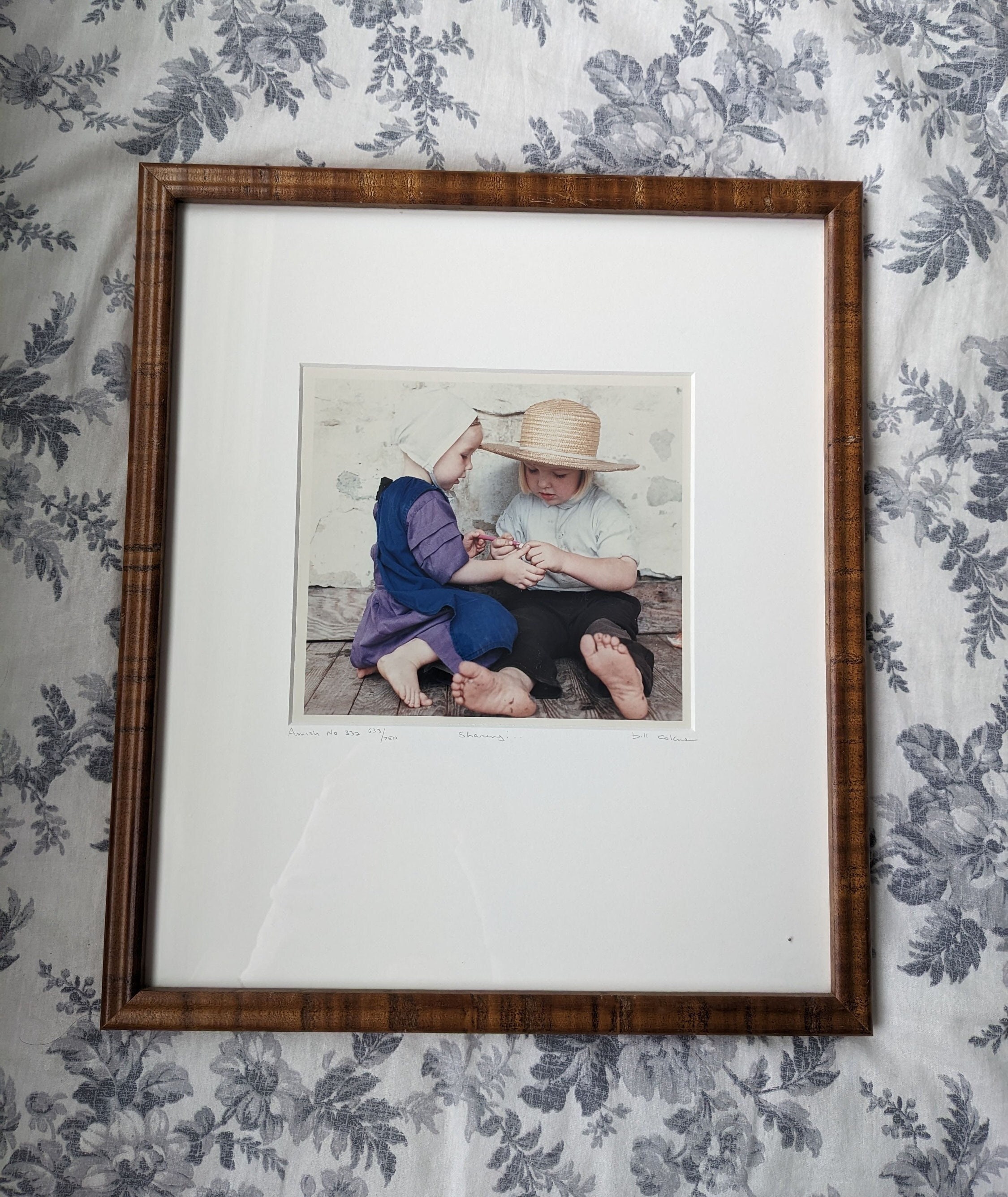 Amish Wall Art Bill Coleman Amish Photograph No 332 sharing, Amish ...