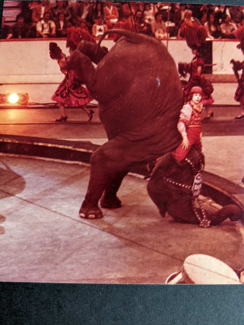 Ringling Bros Barnum Bailey Circus Original Performance 4 Photograph ...