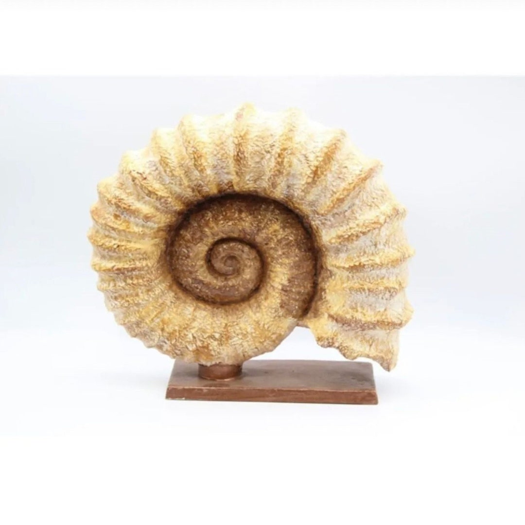 Sea Shell Sculpture , Large Sea Shell Statue , Conch Object, Home ...