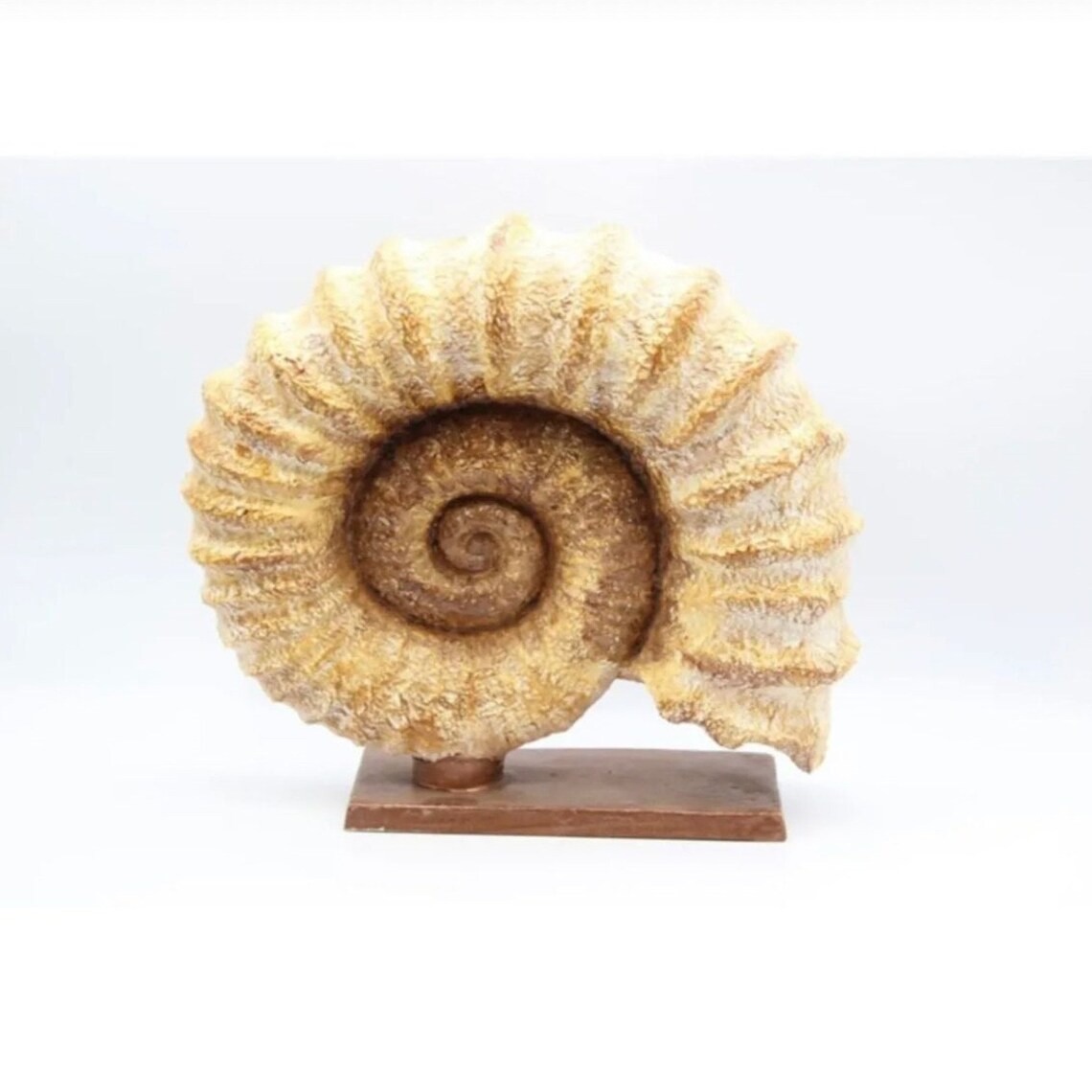 Sea Shell Sculpture , Large Sea Shell Statue , Conch Object, Home ...