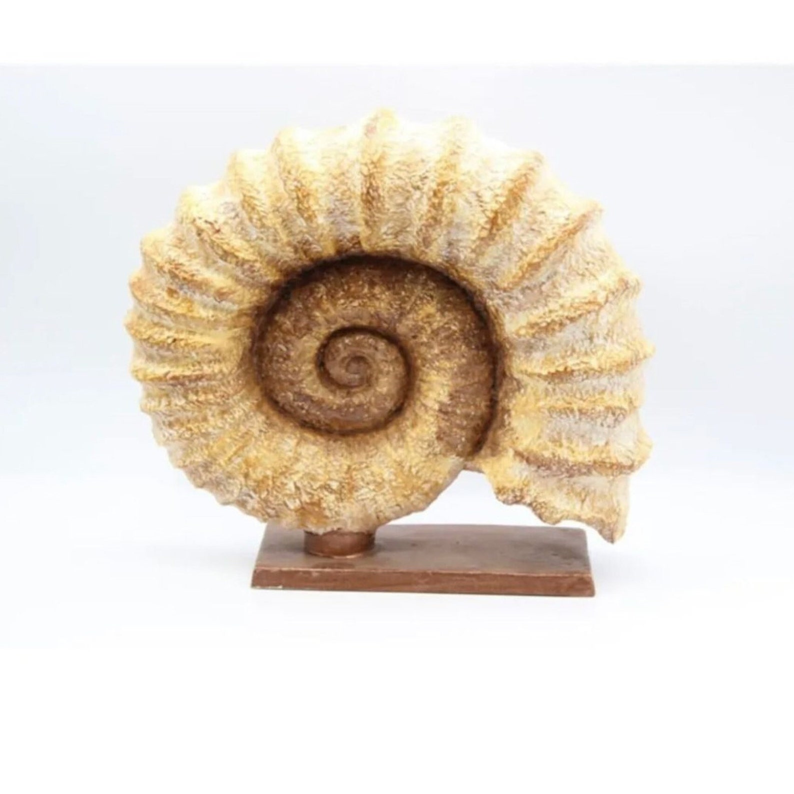 Sea Shell Sculpture , Large Sea Shell Statue , Conch Object, Home ...