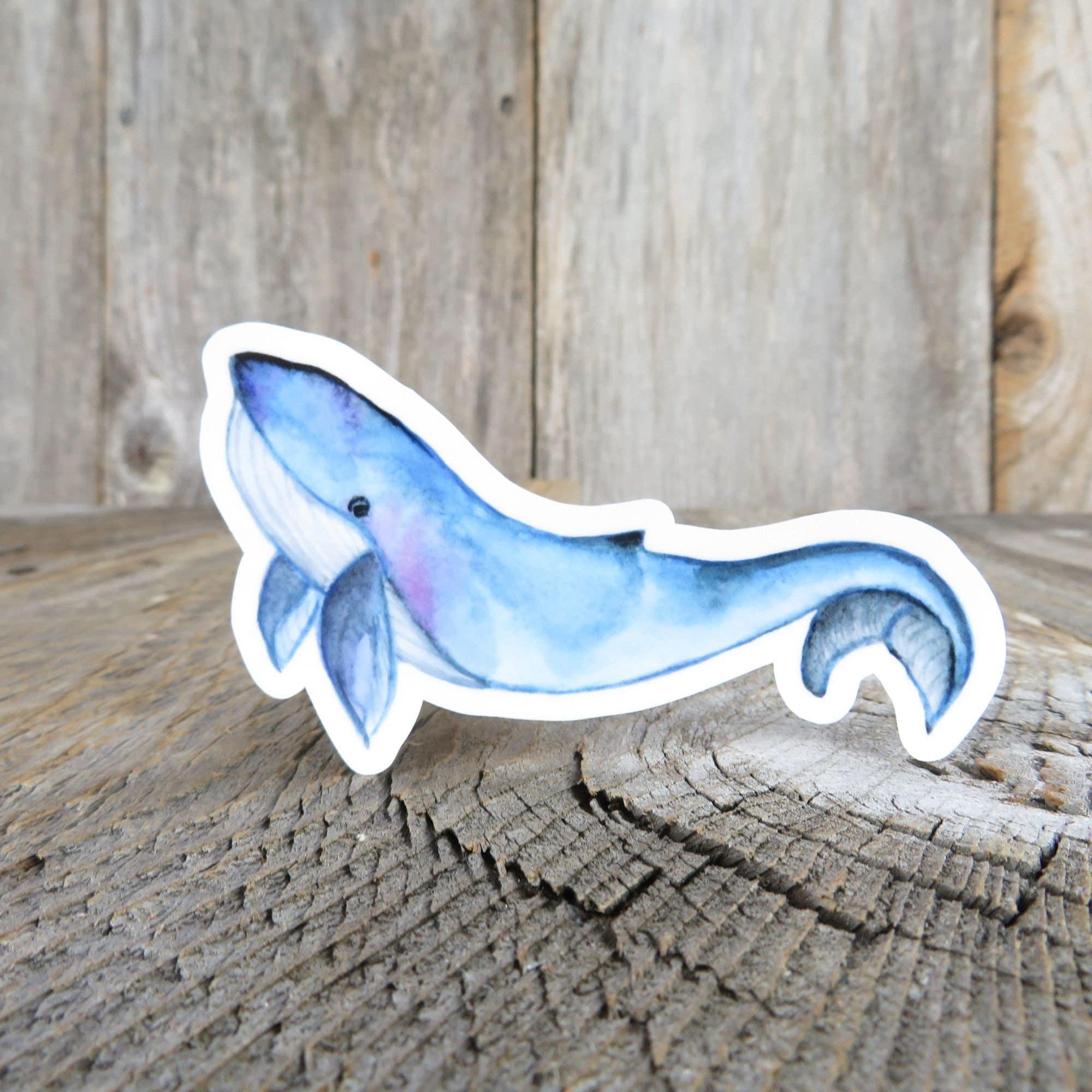 Blue Whale Sticker Decal Full Color Waterproof Ocean Sea Life - Etsy