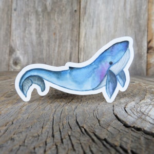 Blue Whale Sticker Decal Full Color Waterproof Ocean Sea Life for Car ...