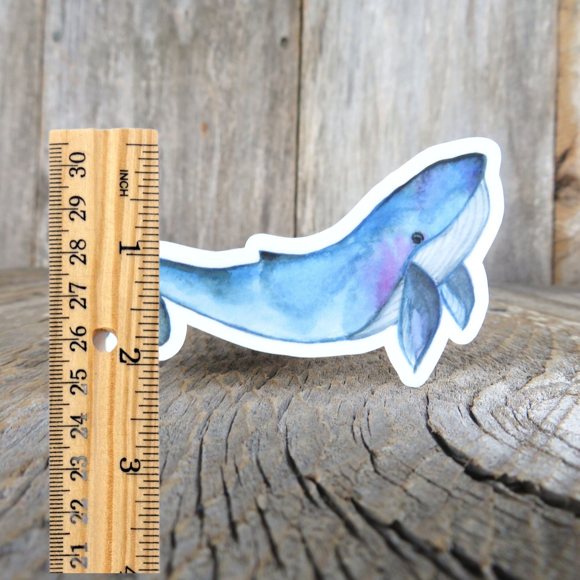 Blue Whale Sticker Decal Full Color Waterproof Ocean Sea Life - Etsy